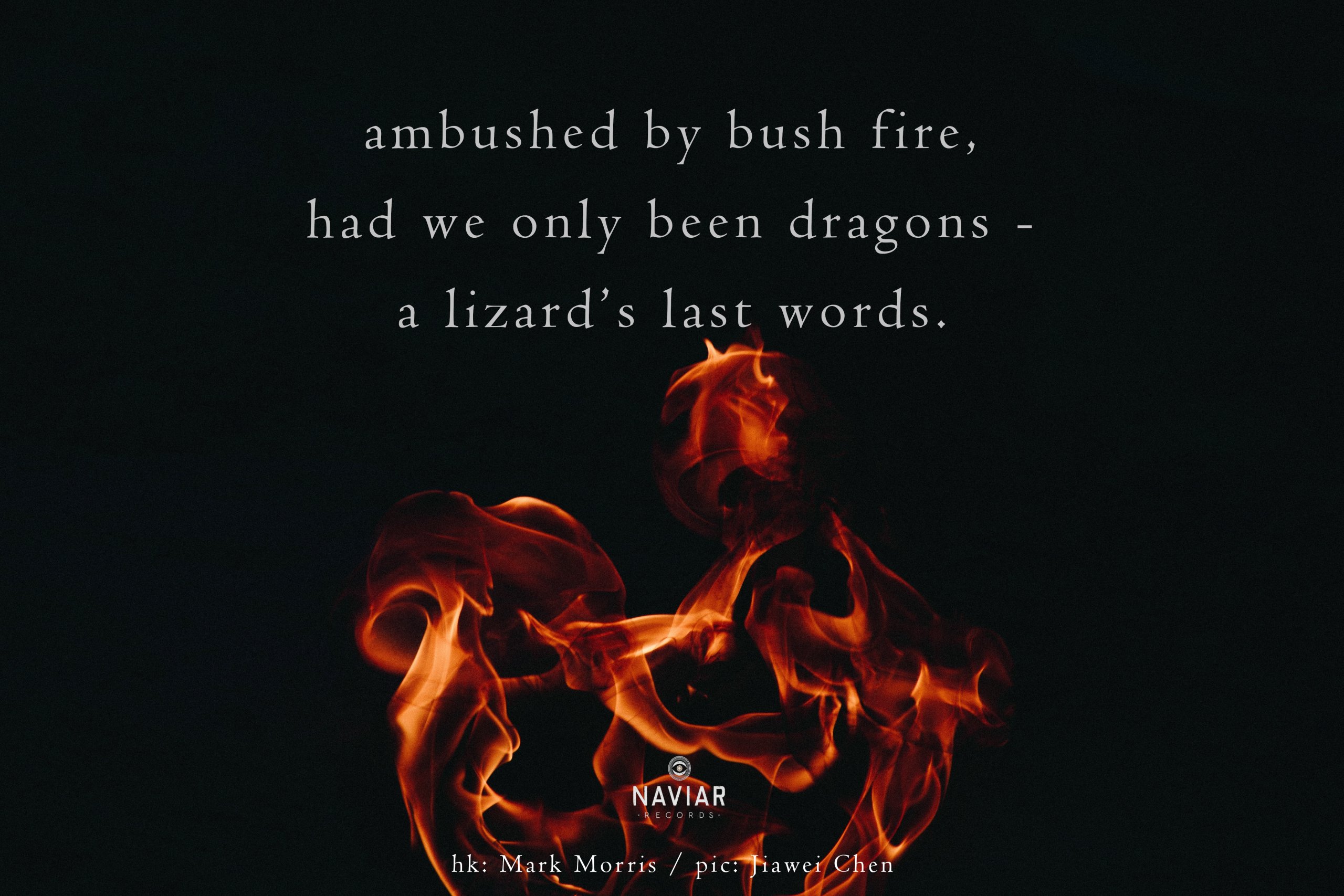naviarhaiku315 – ambushed by bush fire – NAVIAR RECORDS